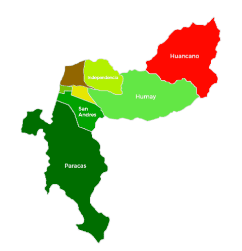 Pisco | Cámara de Comercio, Industria y Turismo de Ica